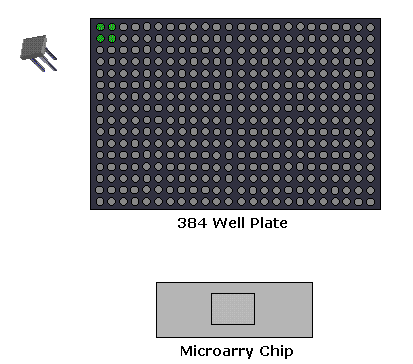 Microarray Technology: An introduction to DNA Microarray